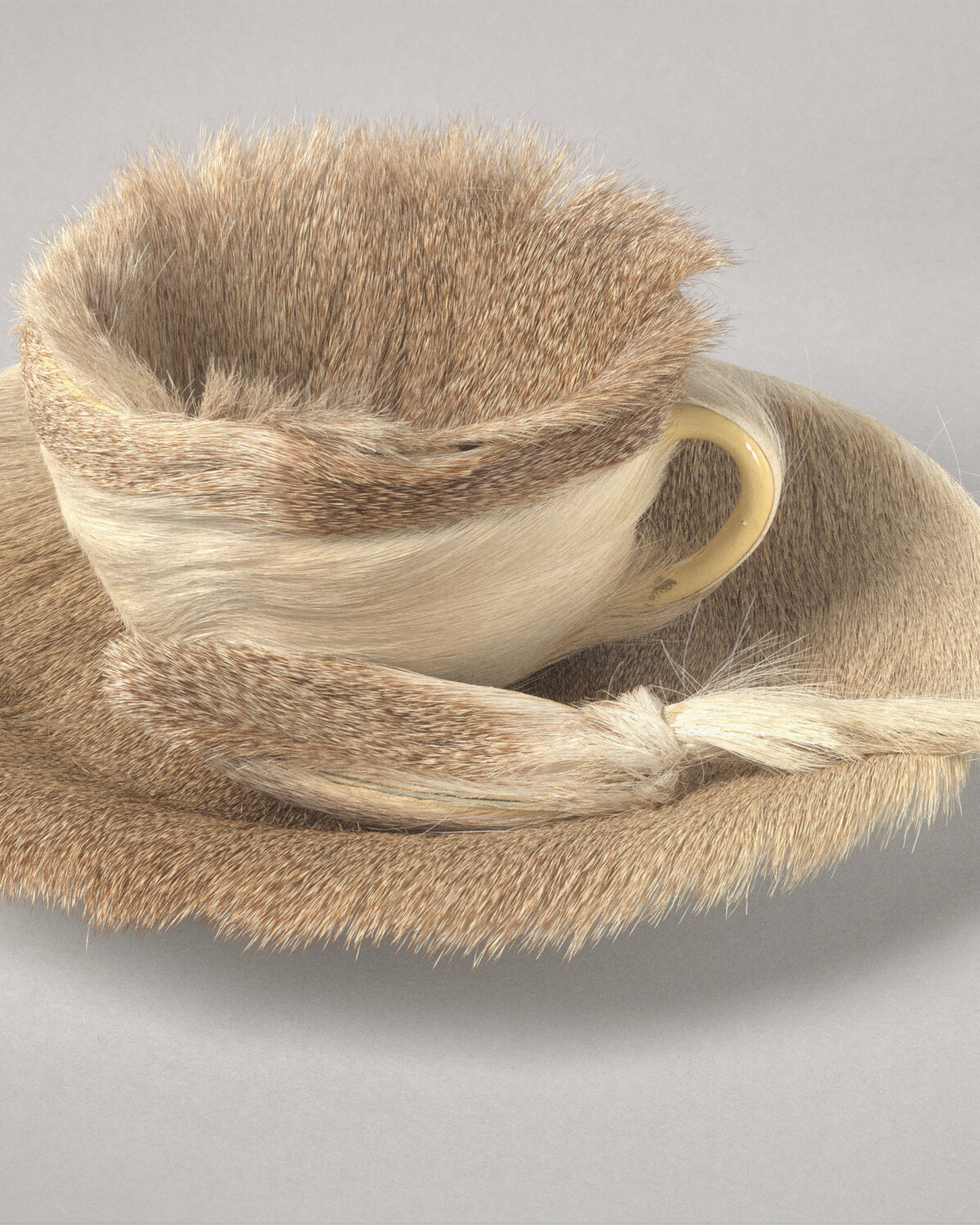 Meret Oppenheim: Surreal & Unfur-gettable – FORM